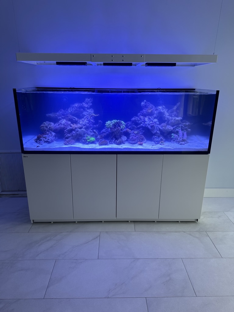 About Us - Ocean World Aquariums